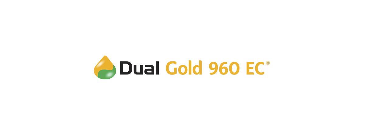 Dual Gold 960 EC