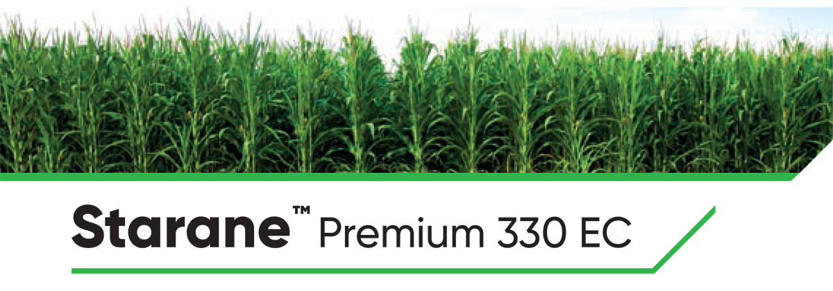 Starane Premium 330 EC