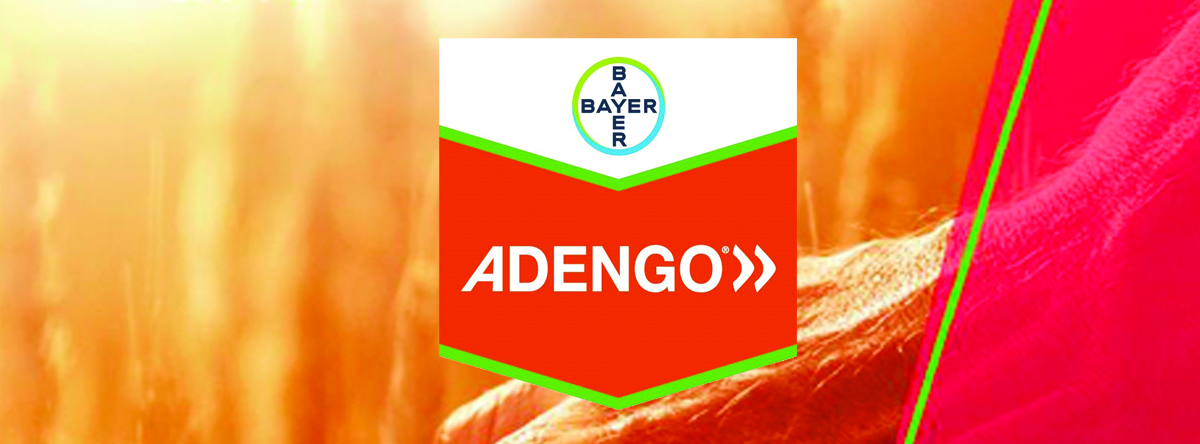 Adengo 465 SC