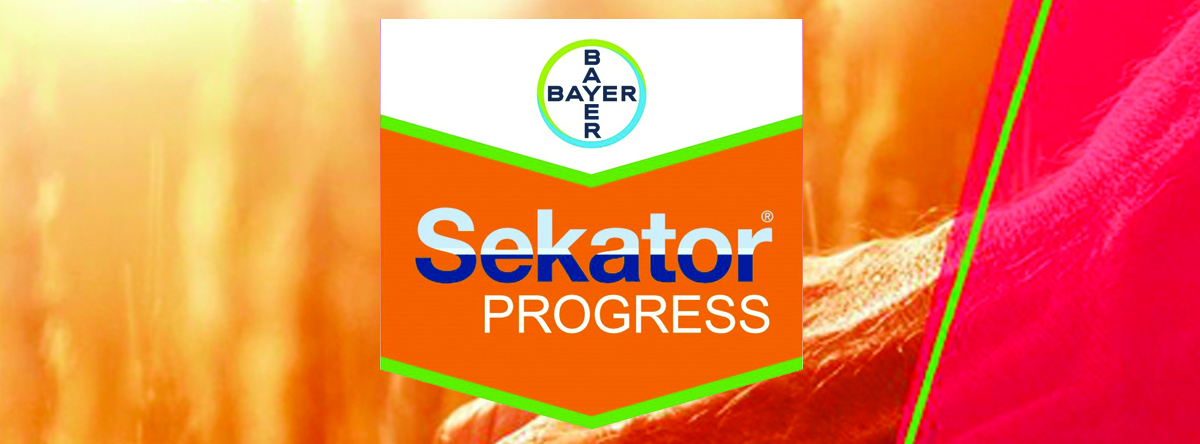 Sekator Progress OD