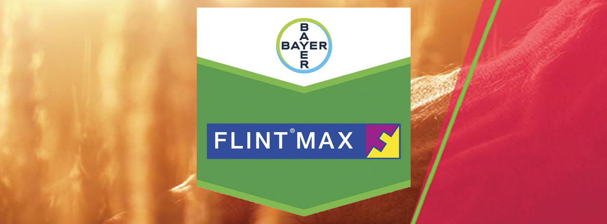 Flint Max 75 WG
