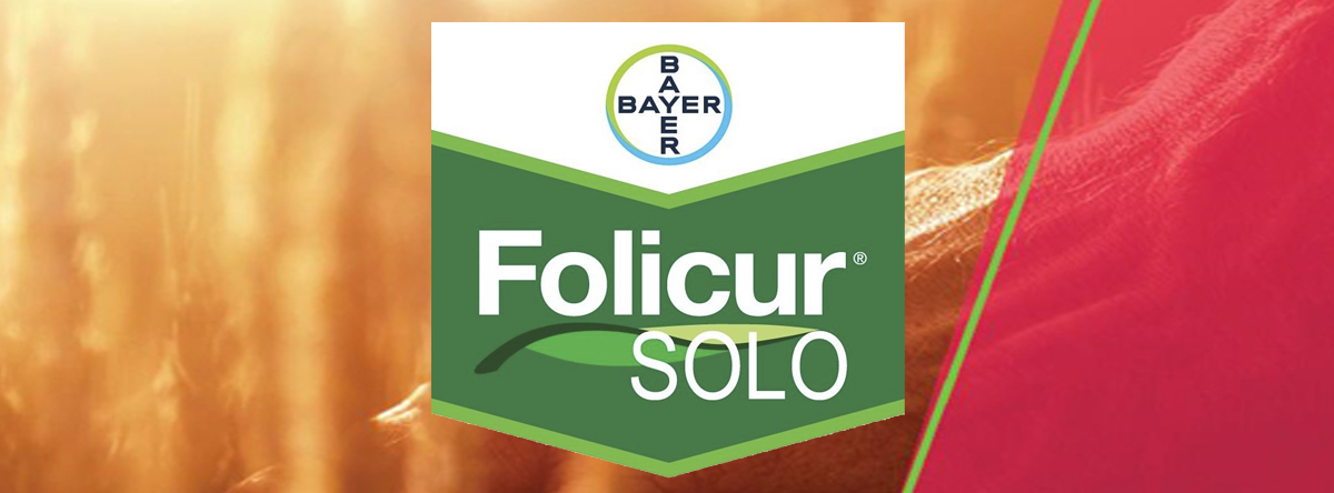 Folicur Solo 250 EW