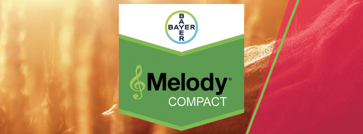 Melody Compact 49 WG