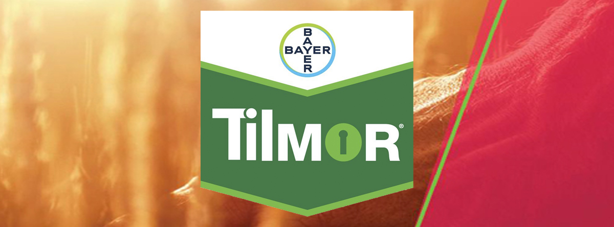 Tilmor 240 EC